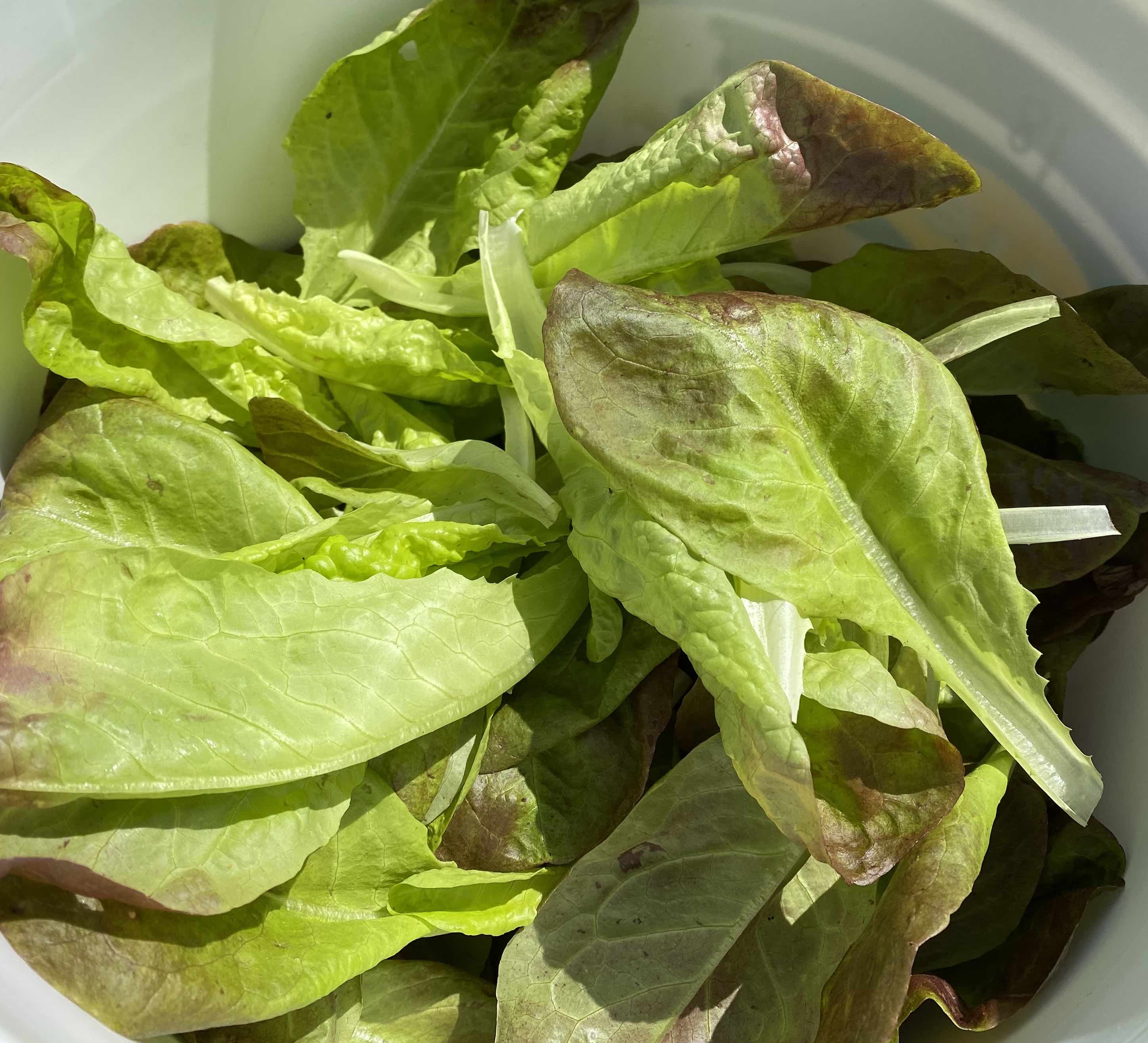 NEW July Checklist: Essential, Must-Do, Pay Attention, And You Need To ...