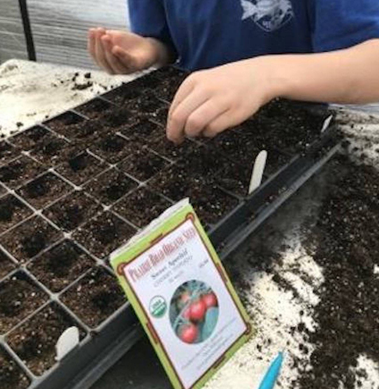 Seed Starting Season-- What's the plan? – Prairie Road Organic Seed