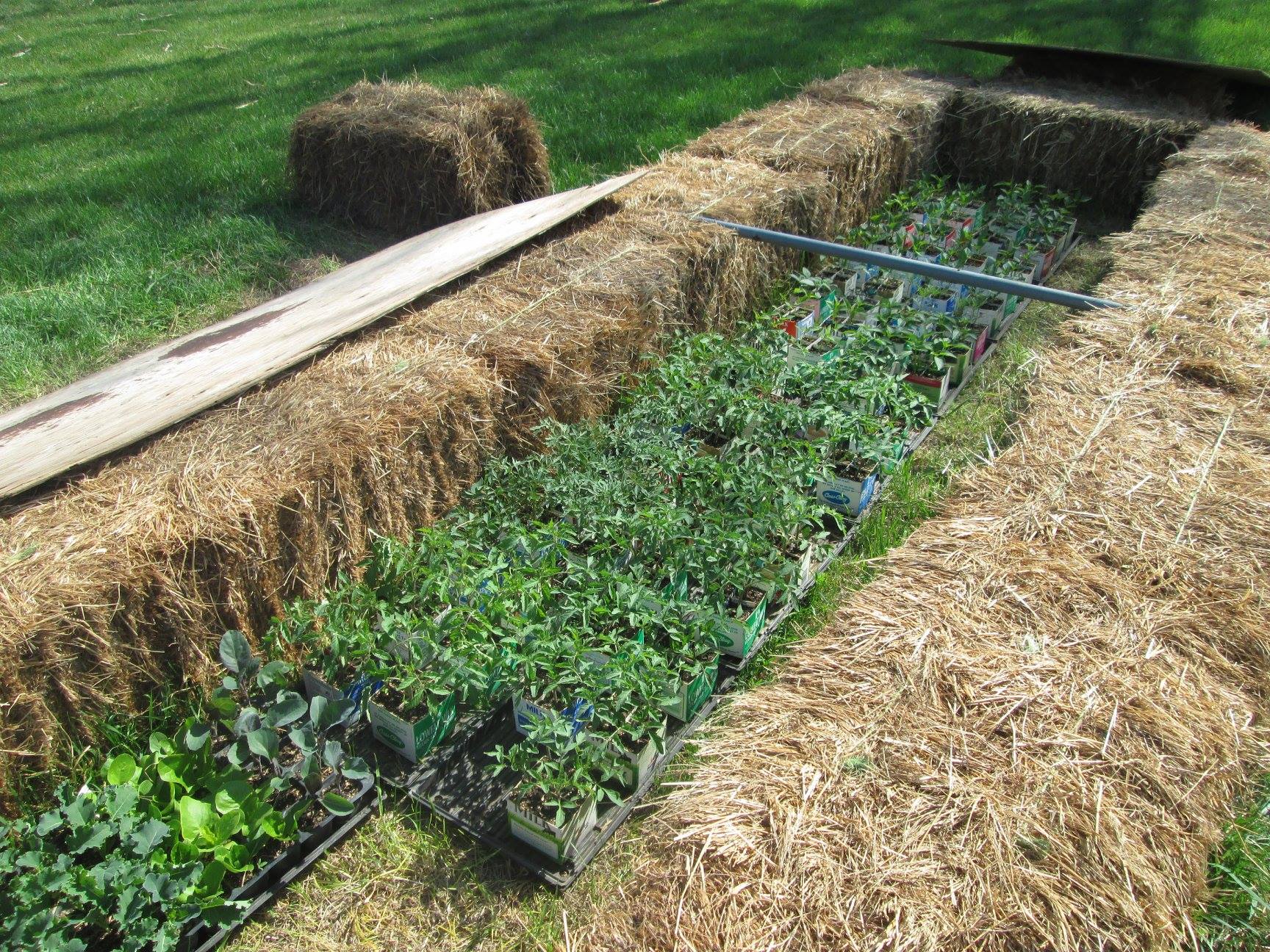 Download your free Prairie Road Direct Seeding Planner! – Prairie Road ...