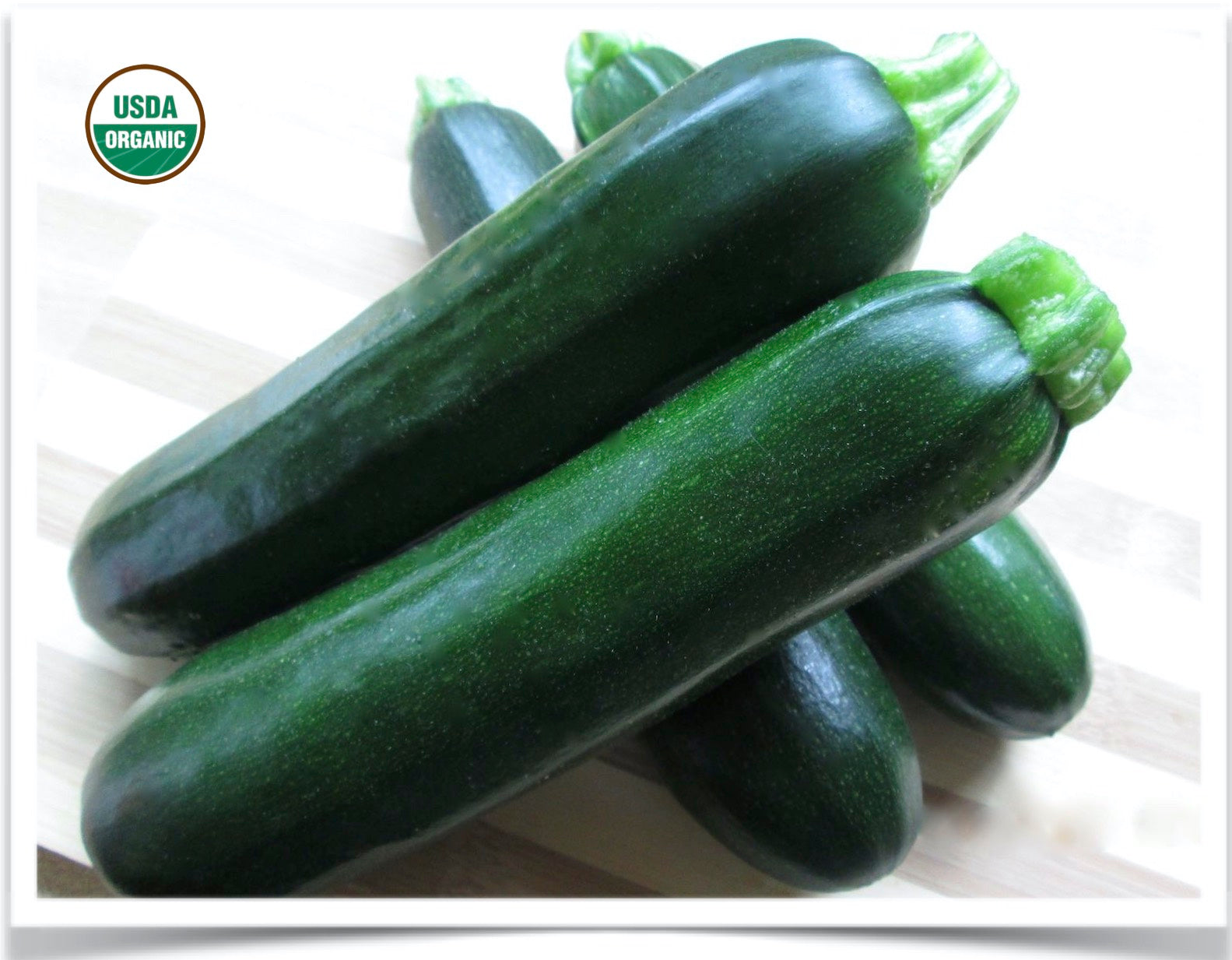 Organic Zucchini Seeds – Prairie Road Organic Seed