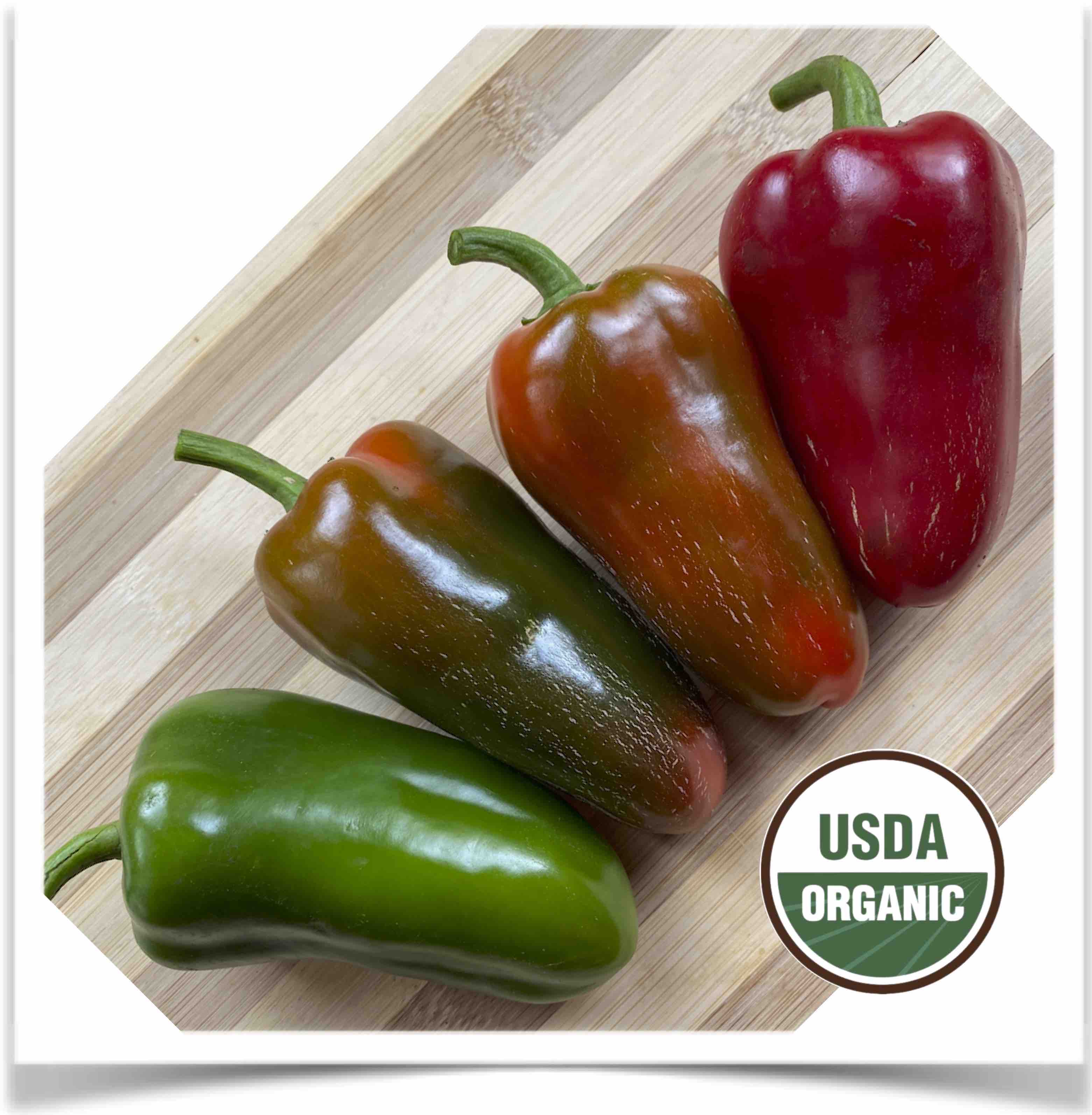 ORGANIC SEED- From our garden to yours! Prairie Road Organic Seed