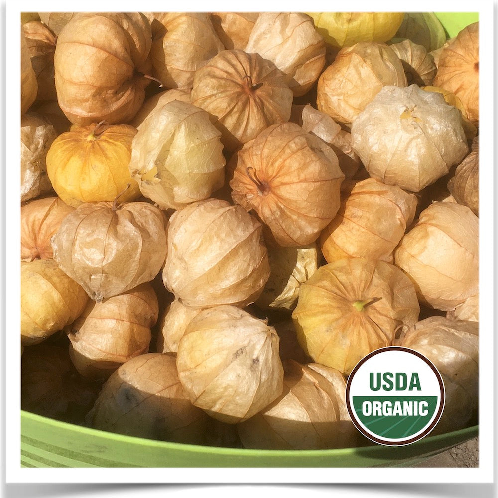 ORGANIC SEED Tomatillo: Mexican Strain -Prairie Road Organic Seed