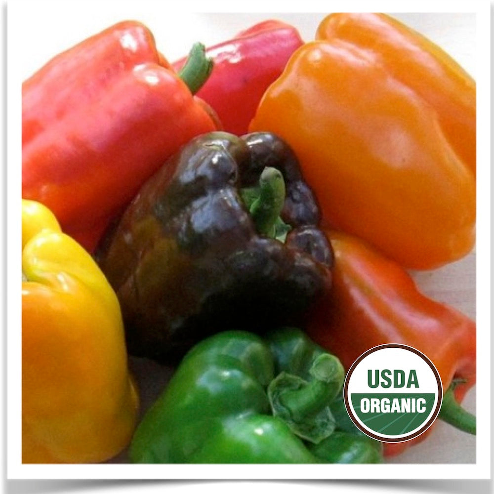 ORGANIC SEED Pepper: Sweet Pepper Medley -Prairie Road Organic ...