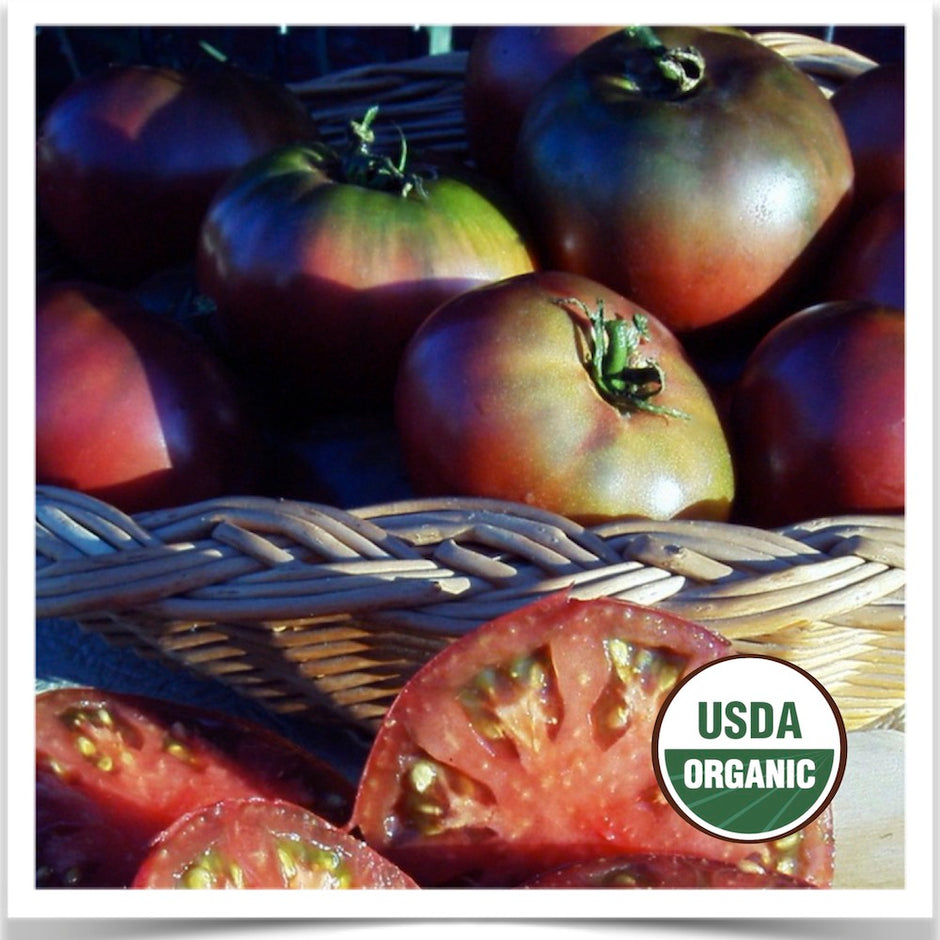 Certified Organic Tomato Seeds – Prairie Road Organic Seed