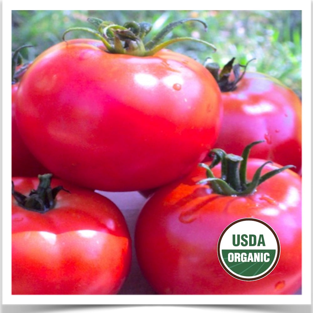 Certified Organic Tomato Seeds – Prairie Road Organic Seed